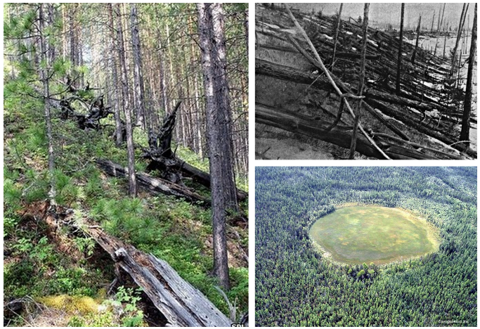 Tunguska Event 1908 | Anomaly Archives